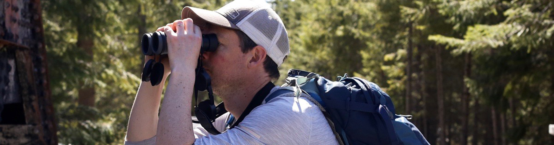 Birding - Destination Castlegar